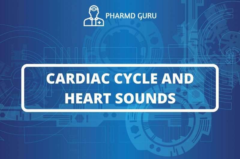 16. ELECTROCARDIOGRAM (ECG) - PHARMD GURU