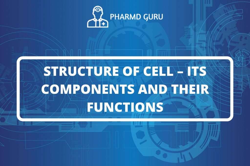 1. SCOPE OF ANATOMY AND PHYSIOLOGY, BASIC TERMINOLOGIES USED IN THIS ...