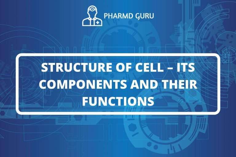 1. SCOPE OF ANATOMY AND PHYSIOLOGY, BASIC TERMINOLOGIES USED IN THIS ...