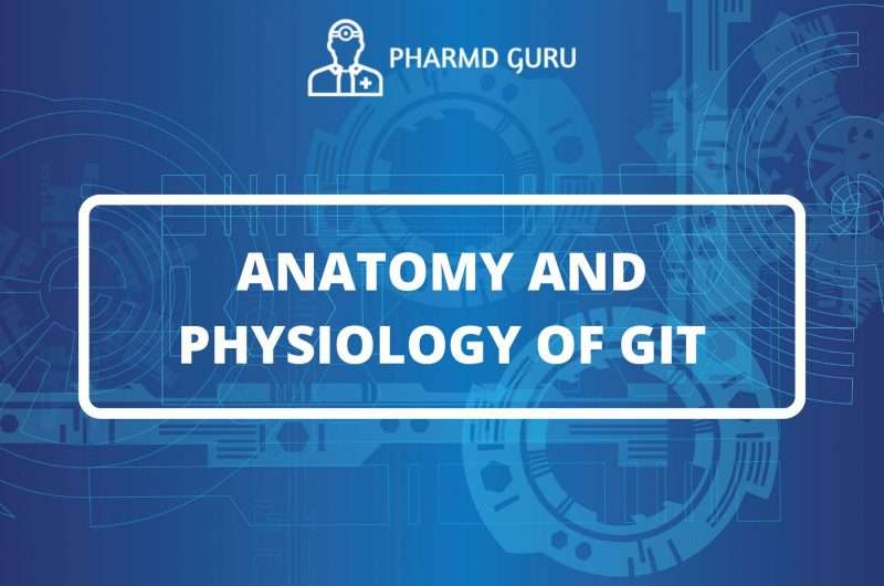 25. ANATOMY AND FUNCTIONS OF ACCESSORY GLANDS OF GIT - PHARMD GURU