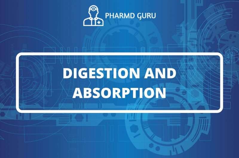 25. ANATOMY AND FUNCTIONS OF ACCESSORY GLANDS OF GIT - PHARMD GURU