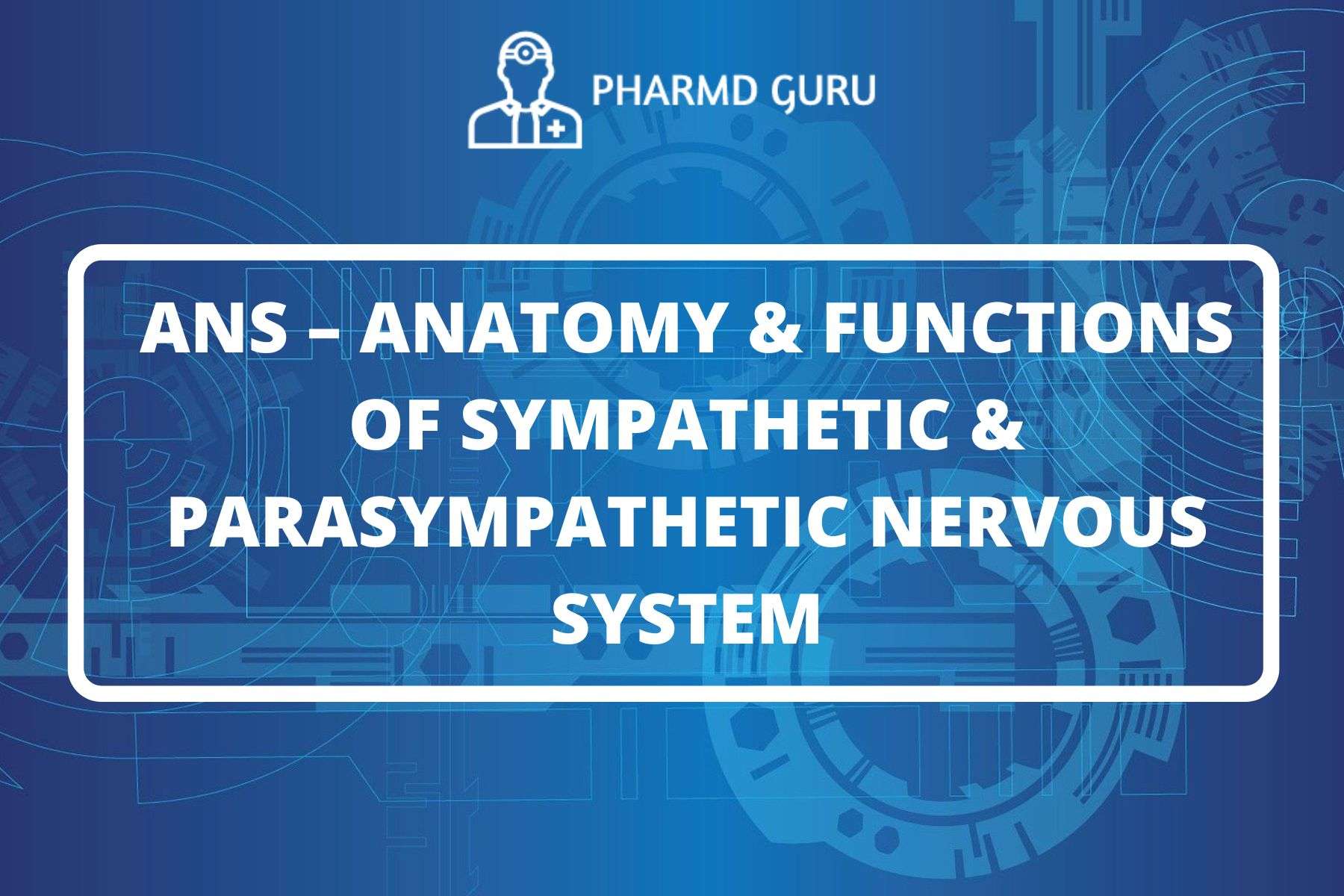 35. ANS – ANATOMY & FUNCTIONS OF SYMPATHETIC & PARASYMPATHETIC NERVOUS ...