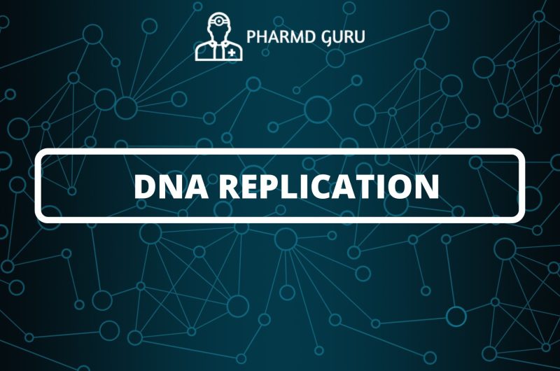 32. DNA REPAIR MECHANISM - PHARMD GURU